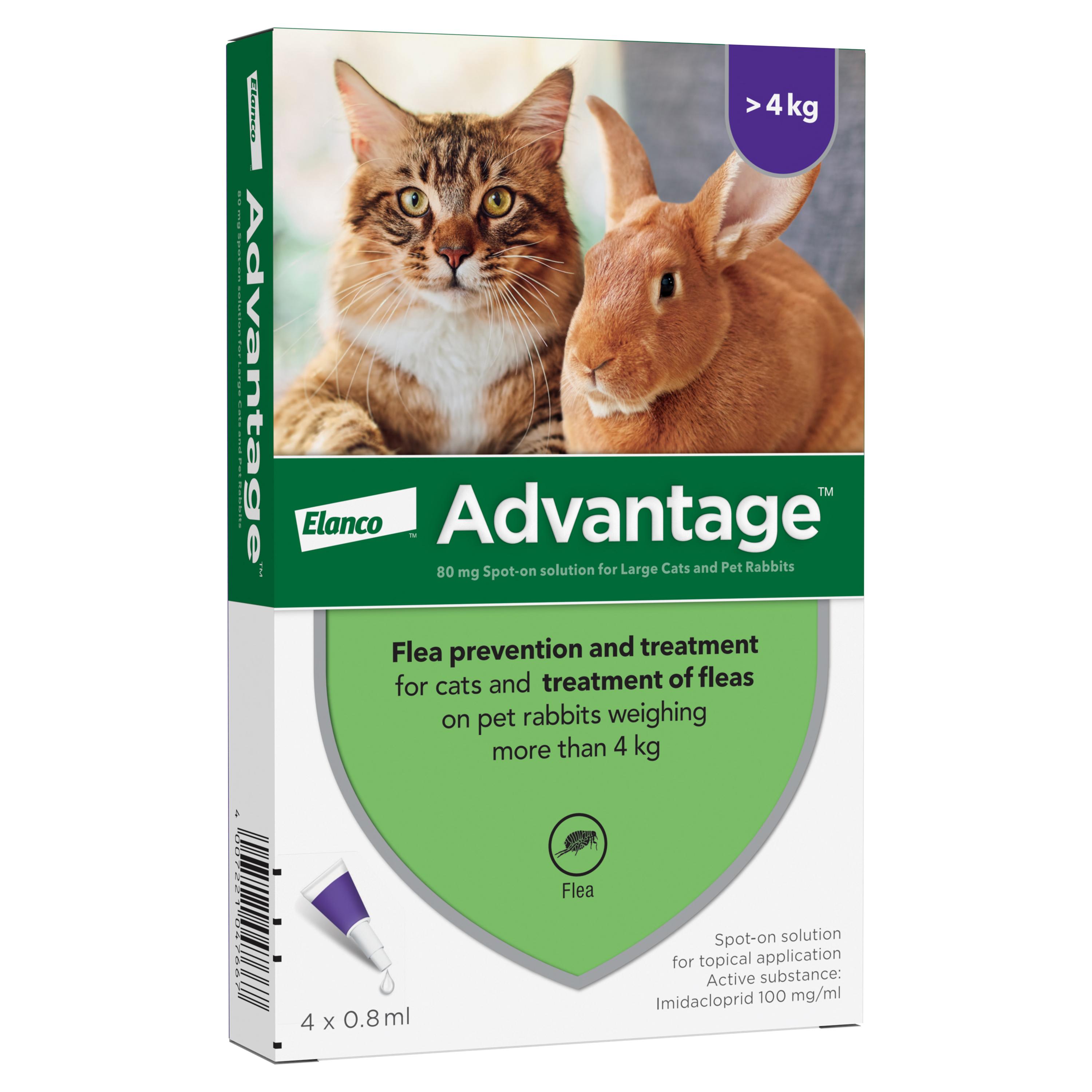 Advantage 80 Spot On Flea Control Large Cats and Rabbits. Cheap Prices ...
