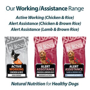 Burns Alert Assistance Chicken & Brown Rice Dry Dog Food - 12kg. Free ...