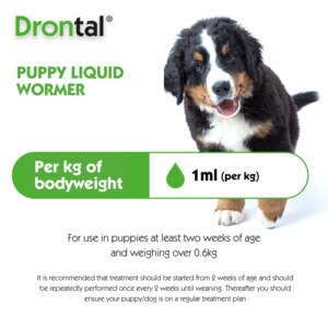 Drontal Puppy Liquid Wormer. Cheap Prices | PetShop.co.uk