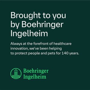 FrontPro Flea/Tick Tablets 10-25kg 3 Pk |Petshop.co.uk