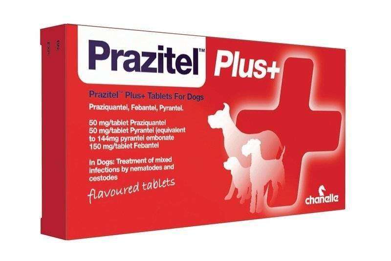 Prazitel Dog Worming Tablet. Cheap Prices | VetShop.co.uk