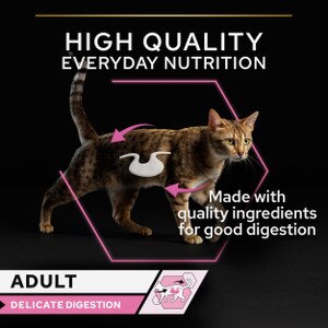 Pro Plan Delicate Digestion Adult 1+ Turkey in Gravy Wet Cat Food ...