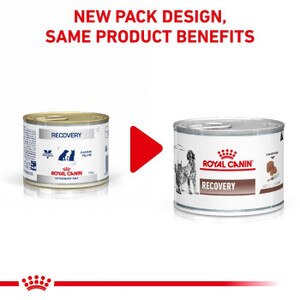 Royal Canin Veterinary Diet Canine/Feline Recovery Wet Cat/Dog Food ...